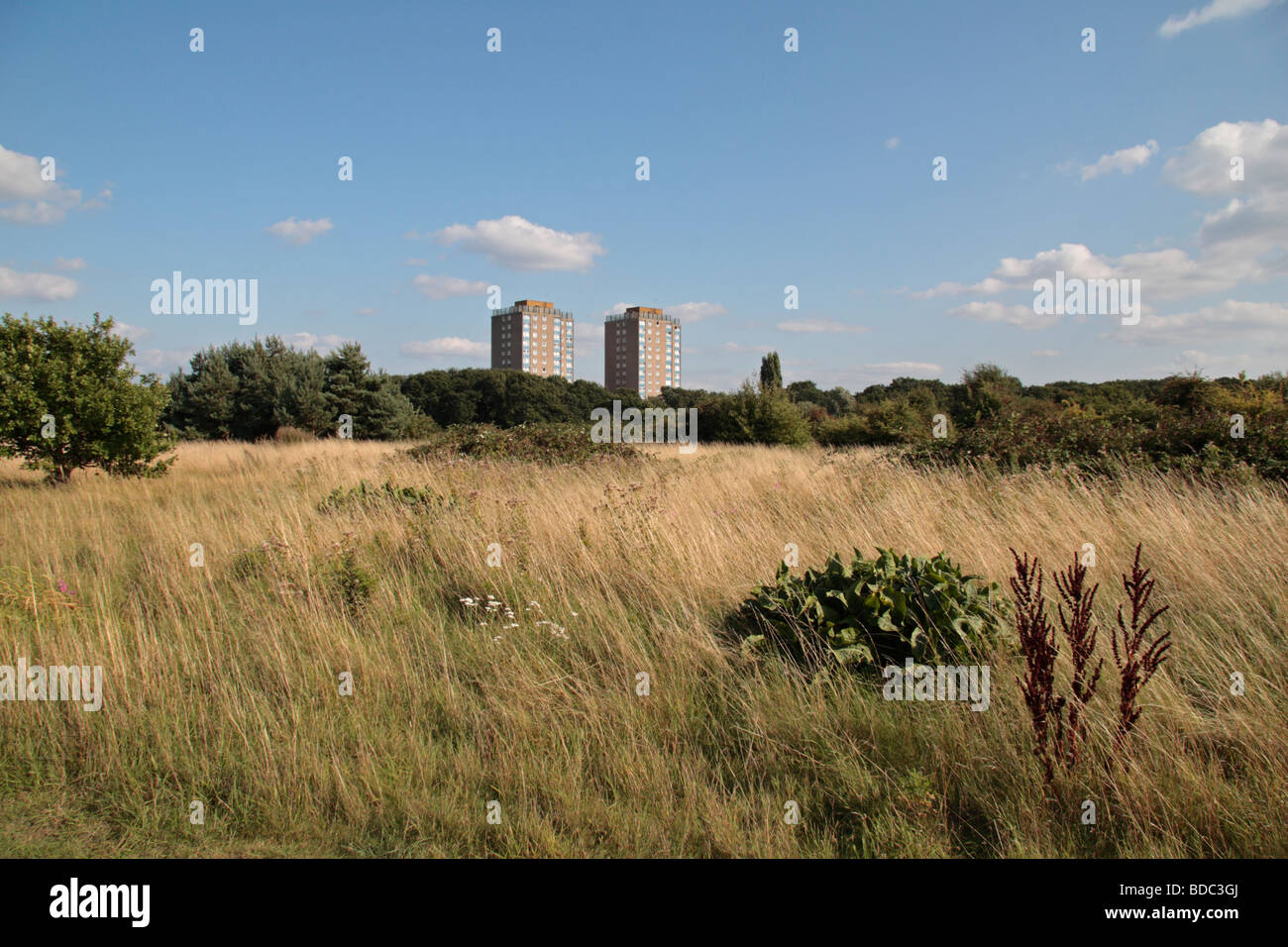 Residential tower blocks viewed from Hounslow Heath, London, UK Stock ...
