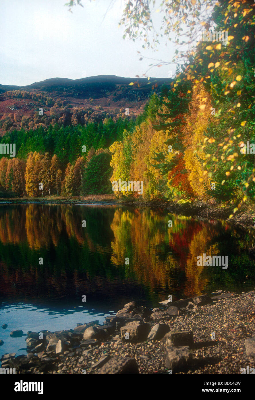 Loch view with autumn fall trees Stock Photo - Alamy