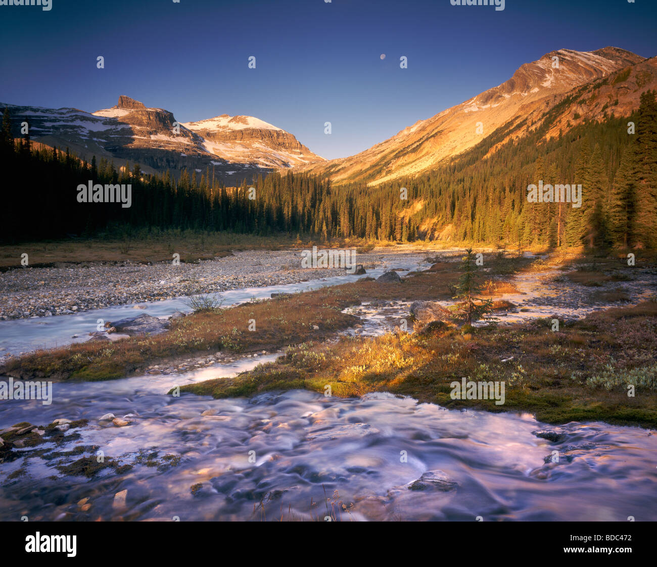Upper reaches of the Little Yoho Valley Yoho National Park British ...
