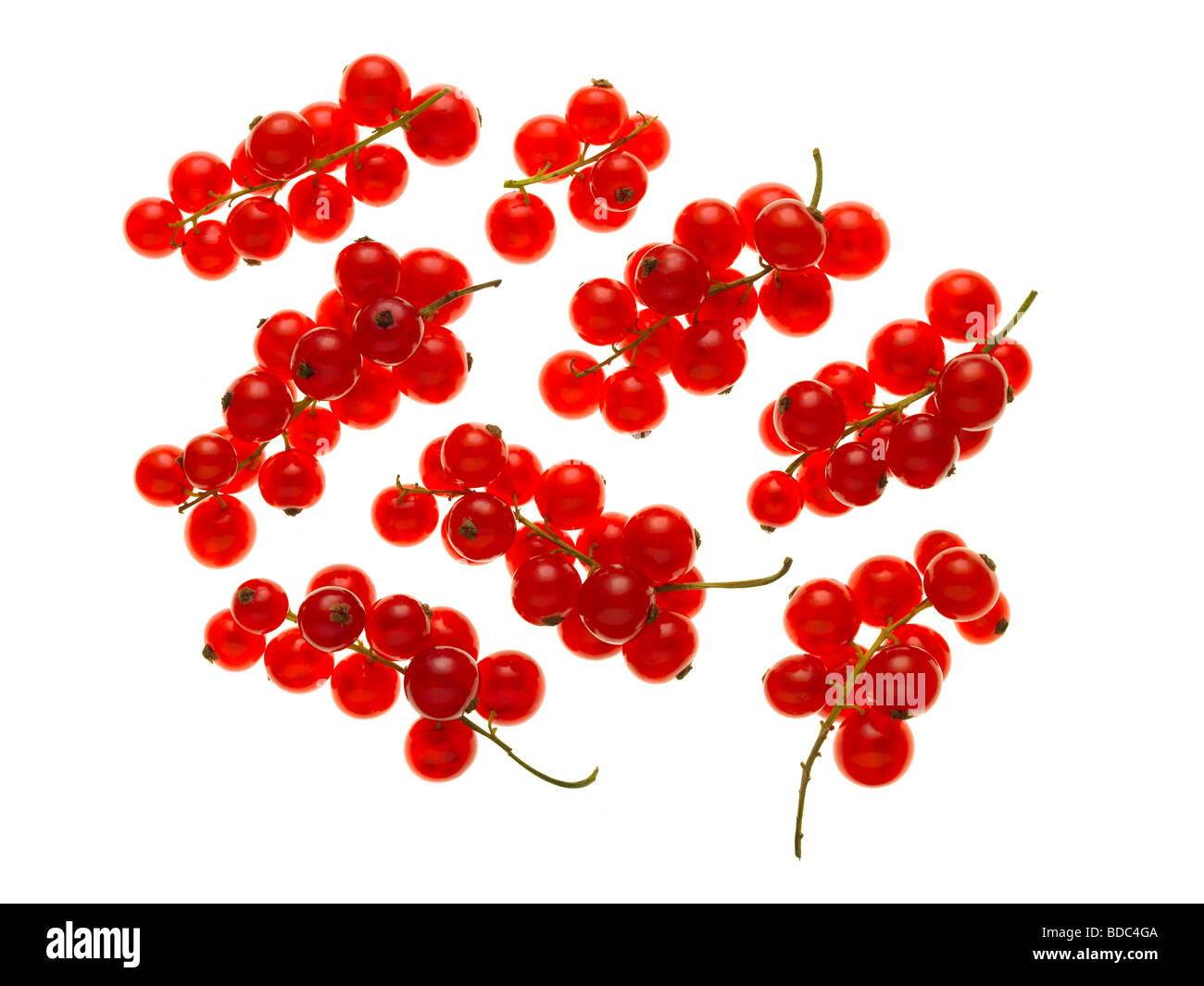 Fresh whole red currant hi-res stock photography and images - Alamy