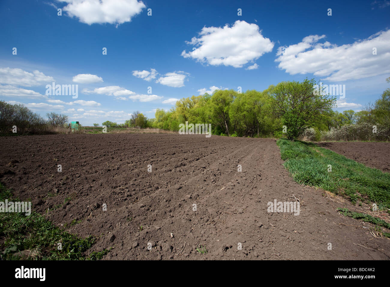 Beautiful landscape with white clouds in the sky Stock Photo - Alamy