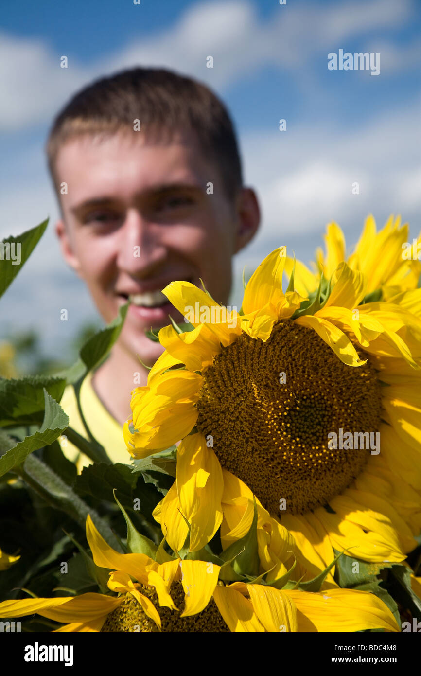 young happy man in the sunflower field Stock Photo - Alamy