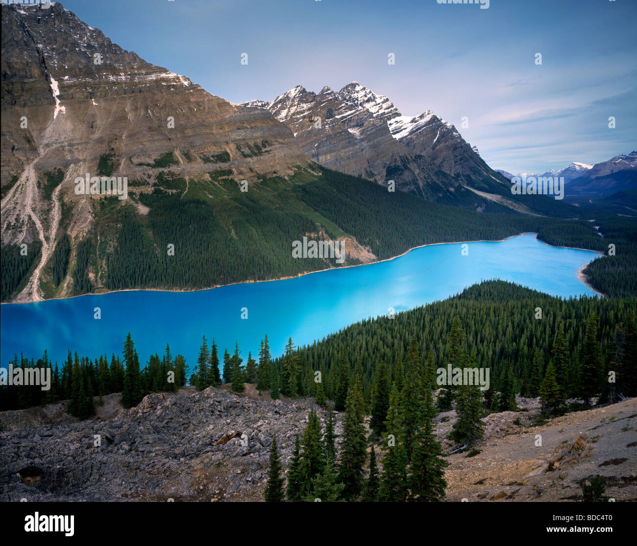 Peyto Lake Banff National Park Alberta Canada Stock Photo - Alamy