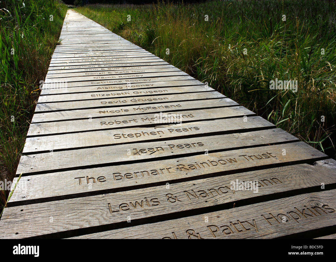 Donor names hi-res stock photography and images - Alamy