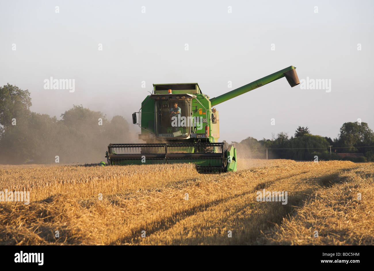 Harvester harvesting a wheat field hi-res stock photography and images ...