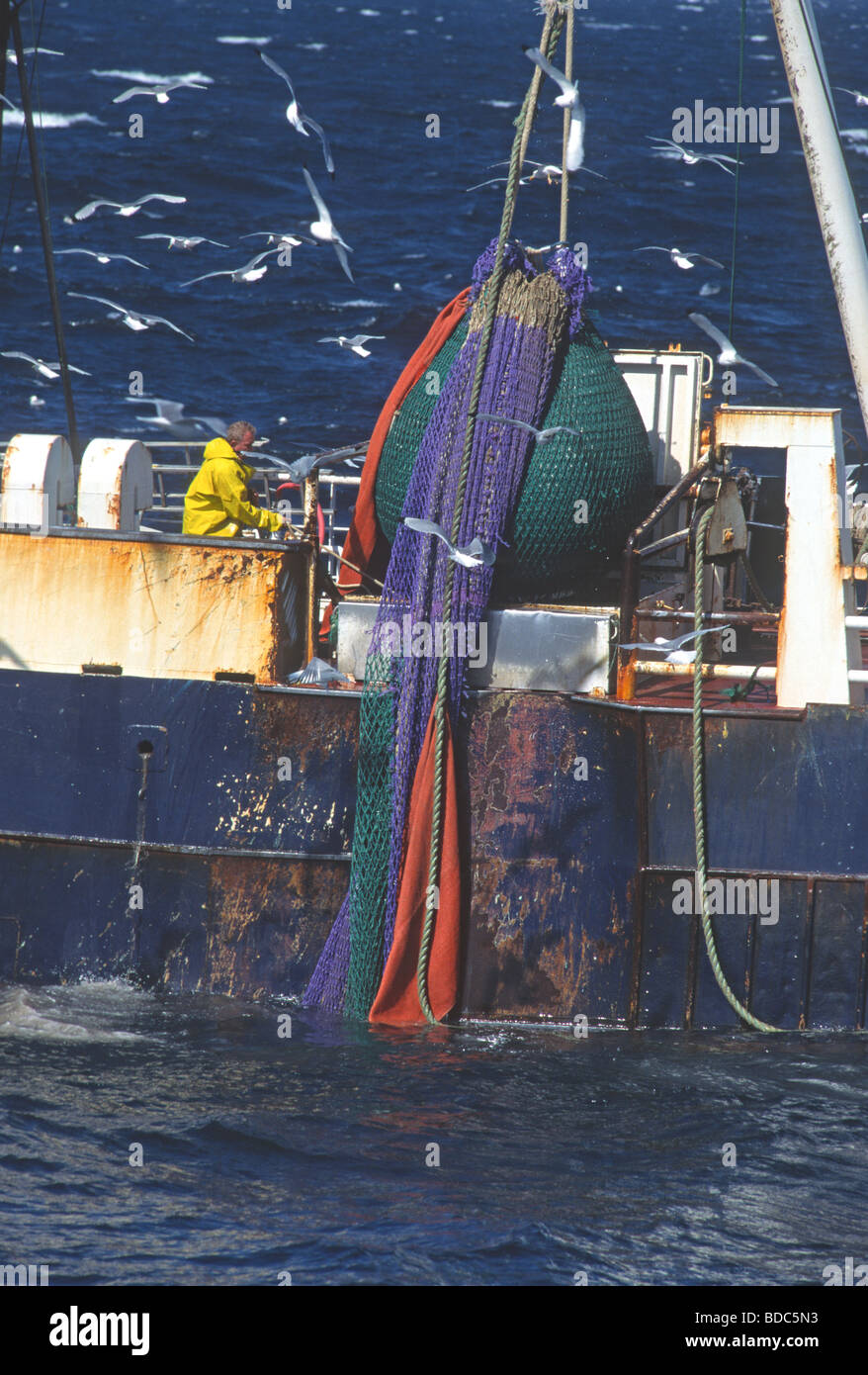 Landing a catch of sandeels on the Danish sandeel trawler Coccinella ...
