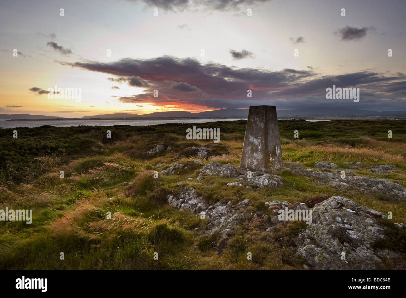 Heather isle of man hi-res stock photography and images - Alamy