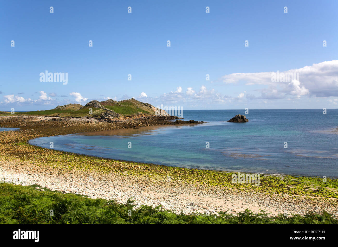 Bracken beach hi-res stock photography and images - Alamy