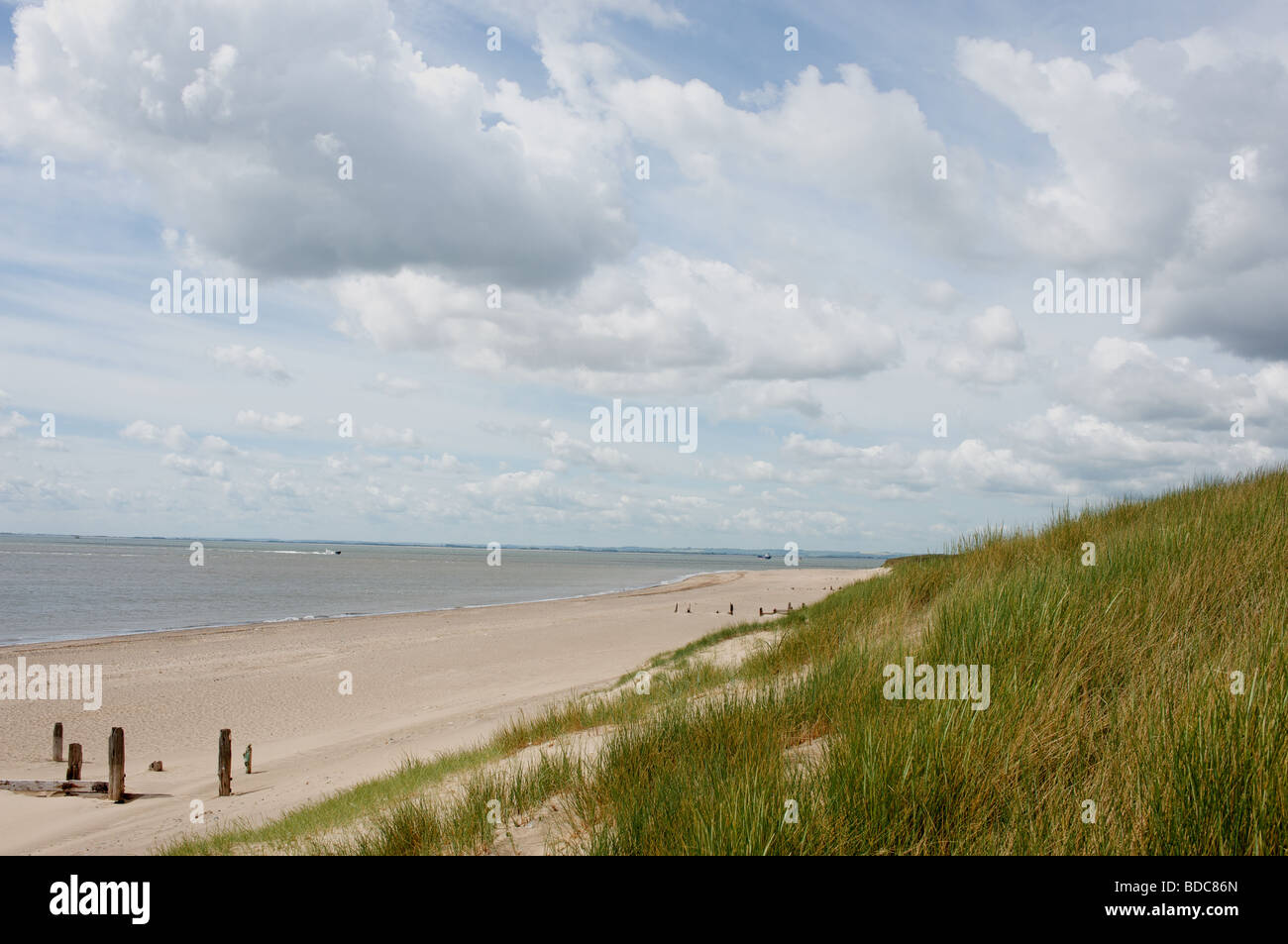 Spurn point national nature reserve hi-res stock photography and images ...