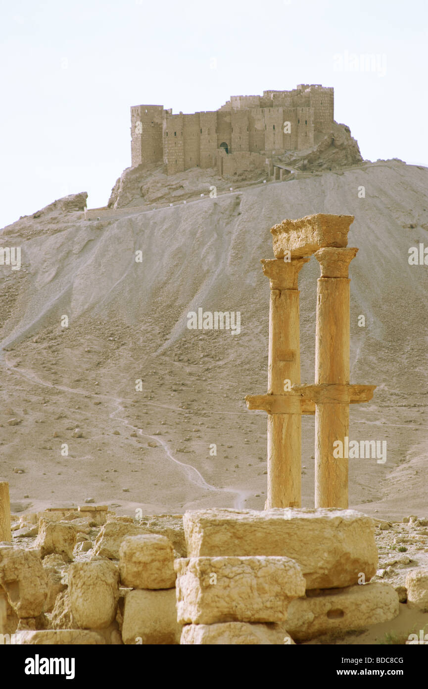 columns in ancient Palmyra, Syria Stock Photo - Alamy