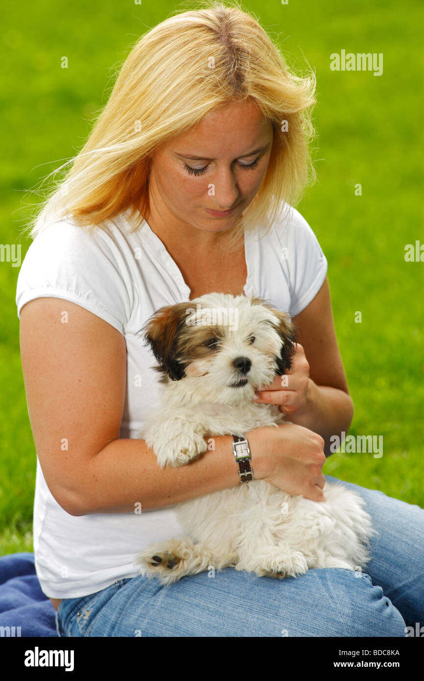 Pet on lap hi-res stock photography and images - Alamy