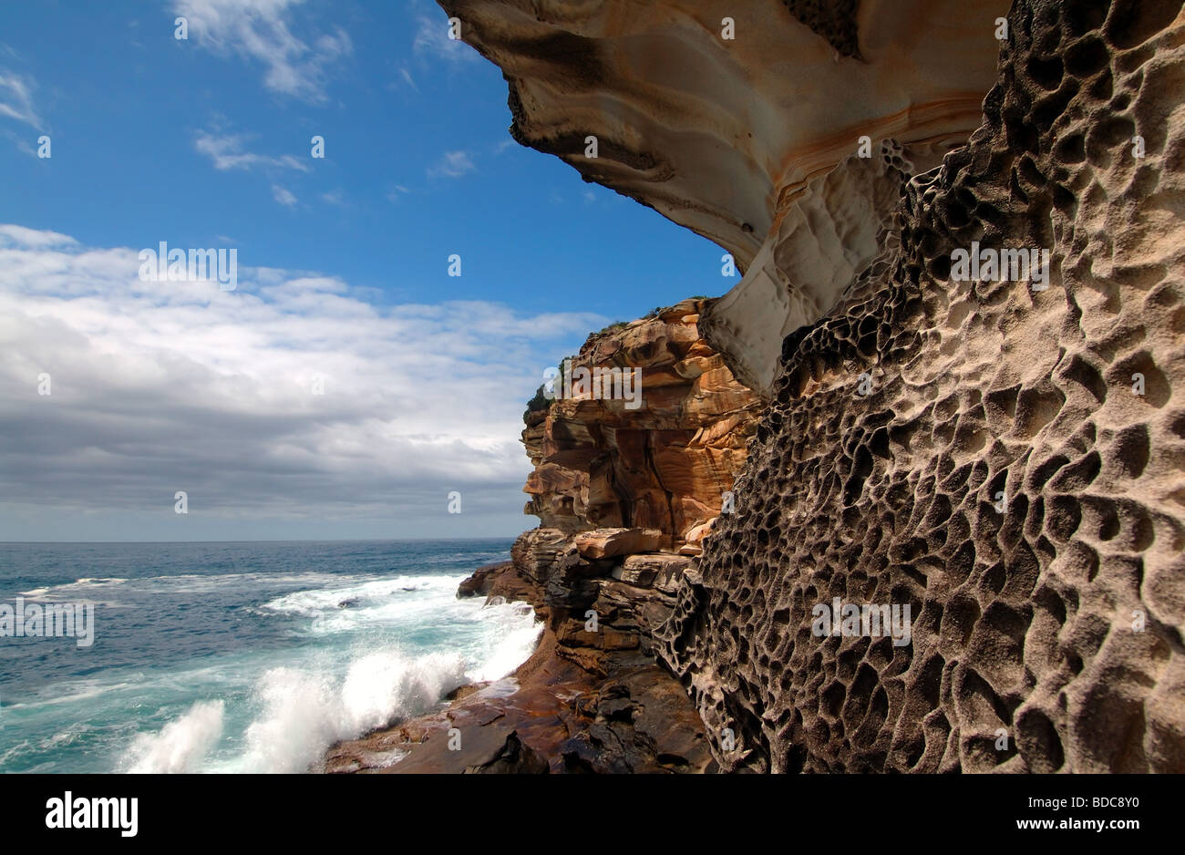 Eroded coastal sandstone along the sea cliffs near Bronte, Sydney, NSW ...