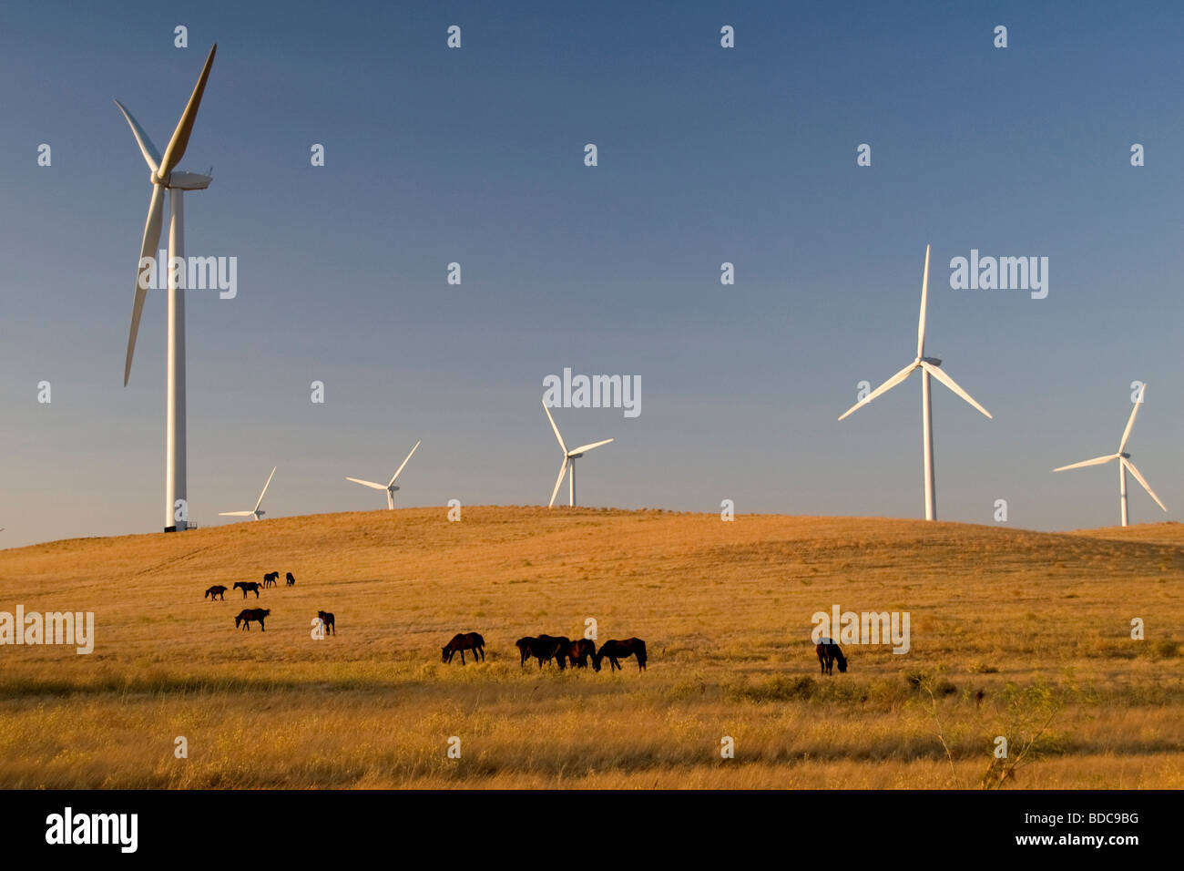 Rio vista wind turbines hi-res stock photography and images - Alamy