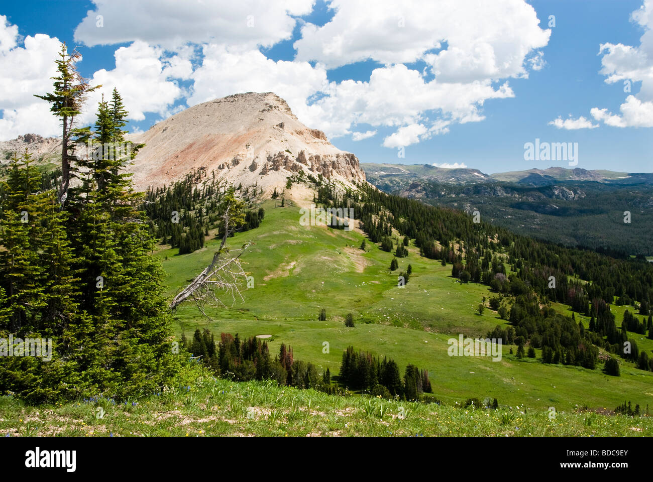 Beartooth Butte viewed from Clay Butte Fire Lookout Stock Photo - Alamy