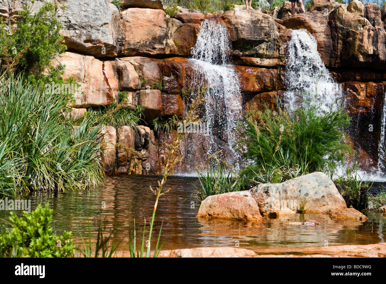 A waterfall at Beaverlac in the Cederberg Mountains in the Western Cape ...