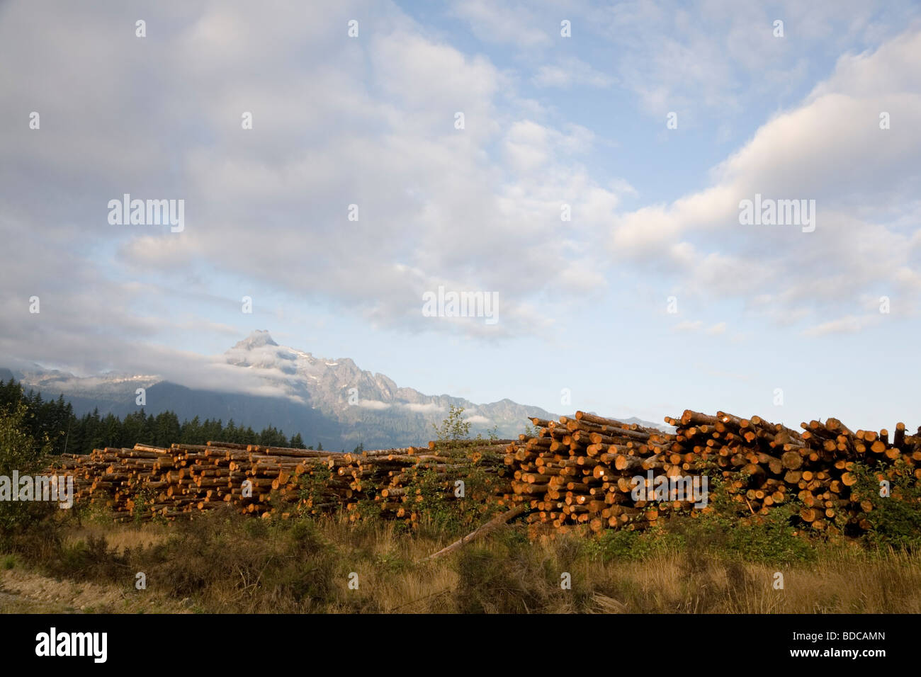 Logging In Washington State High Resolution Stock Photography and ...