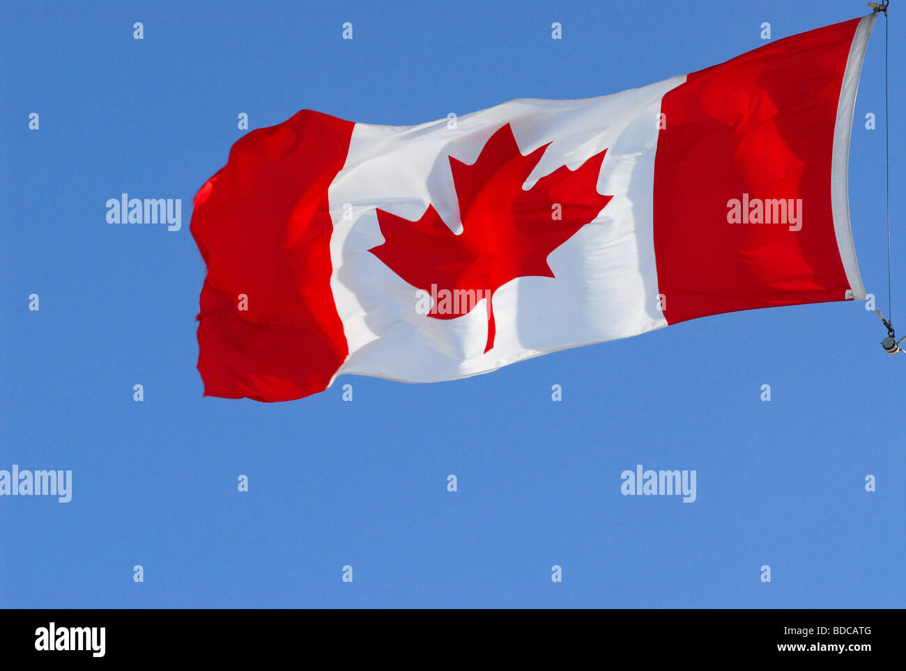 Canada cut out hi-res stock photography and images - Alamy