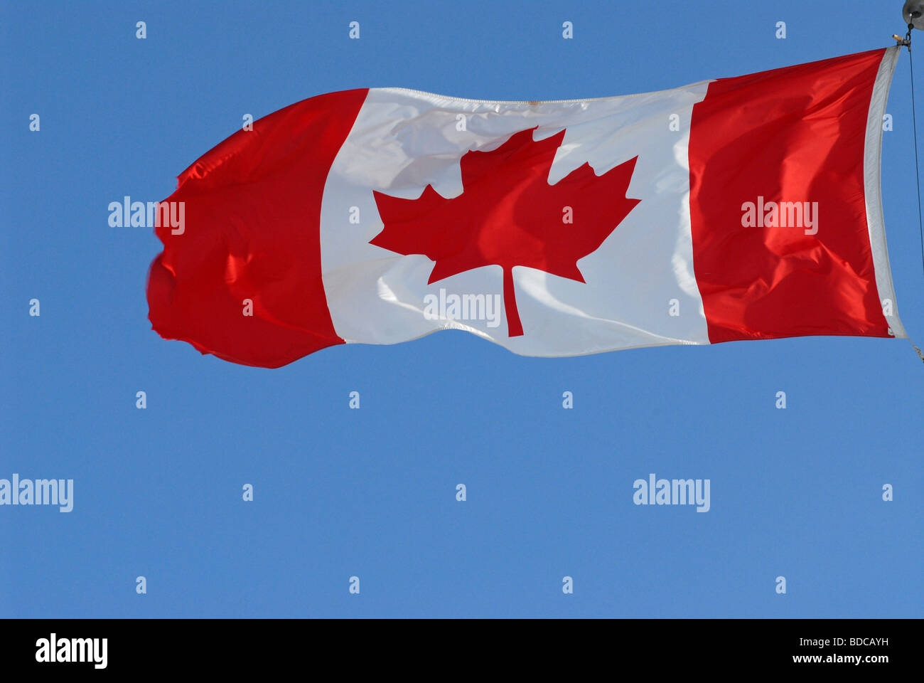 The Canadian Flag Stock Photo - Alamy