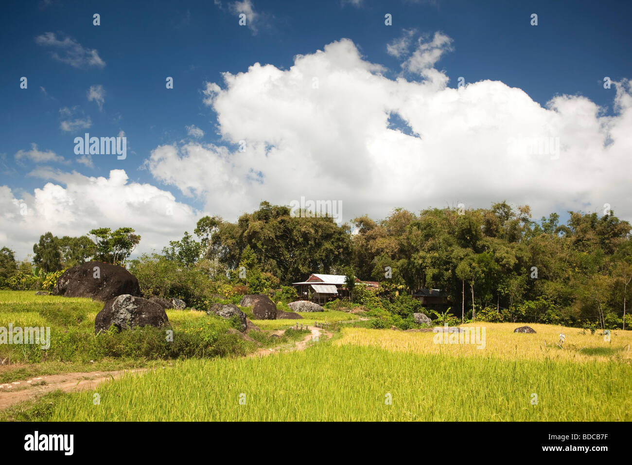 Indonesia Sulawesi Tana Toraja Tikala farmhouse amongst remote rural ...