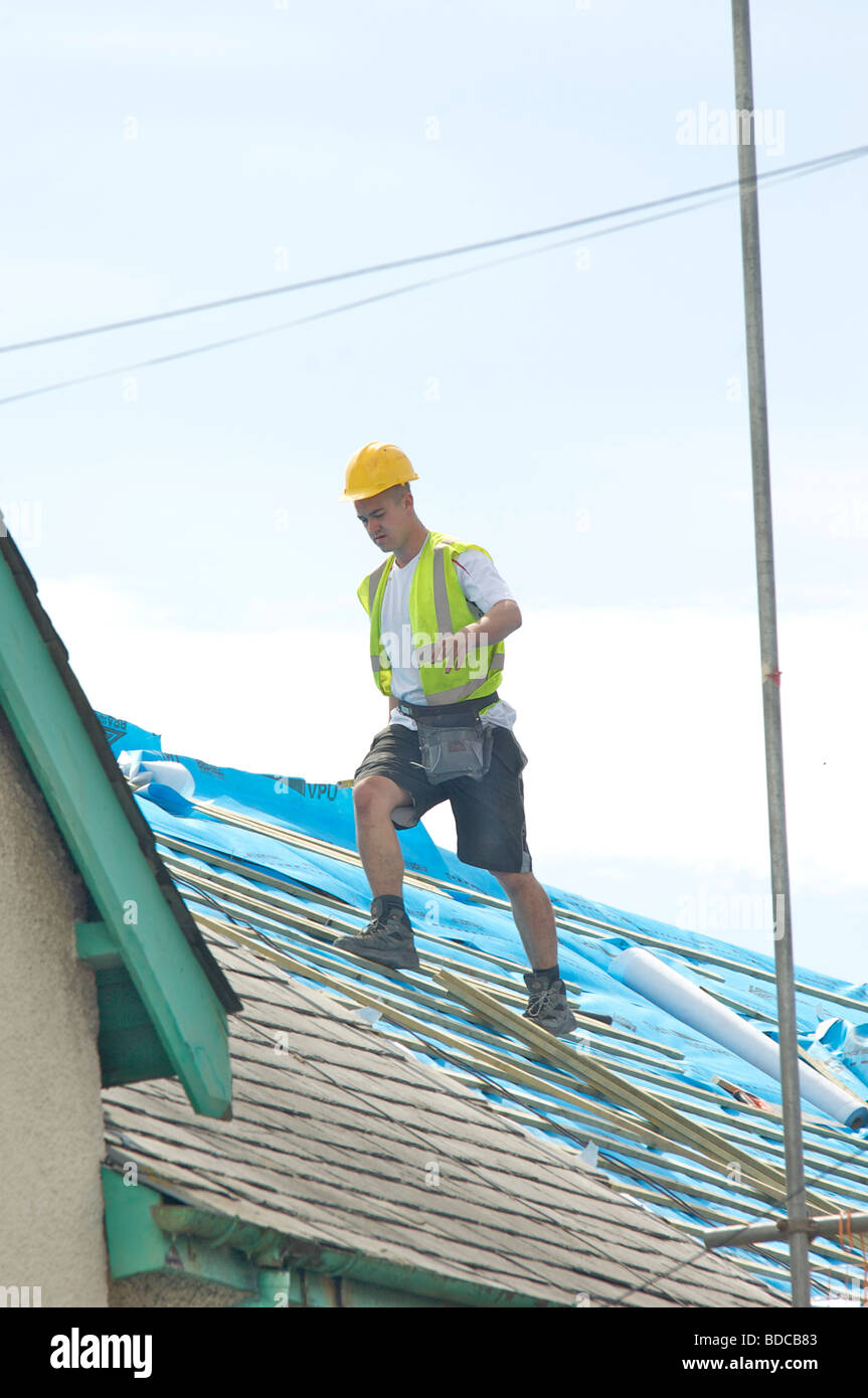 Builder working on roof of house in summer Stock Photo - Alamy