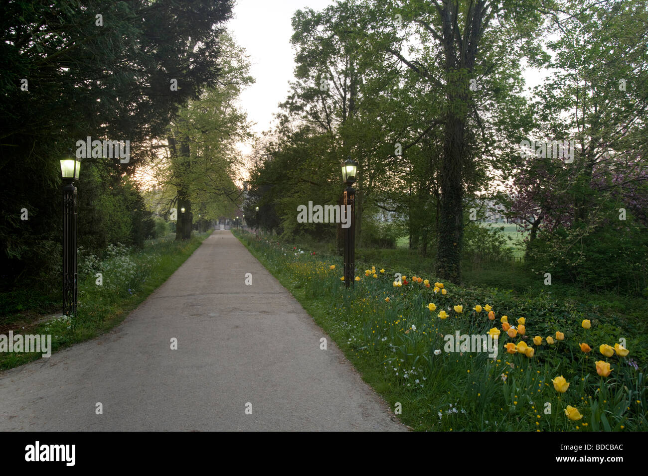 Pathway at Dawn Stock Photo - Alamy