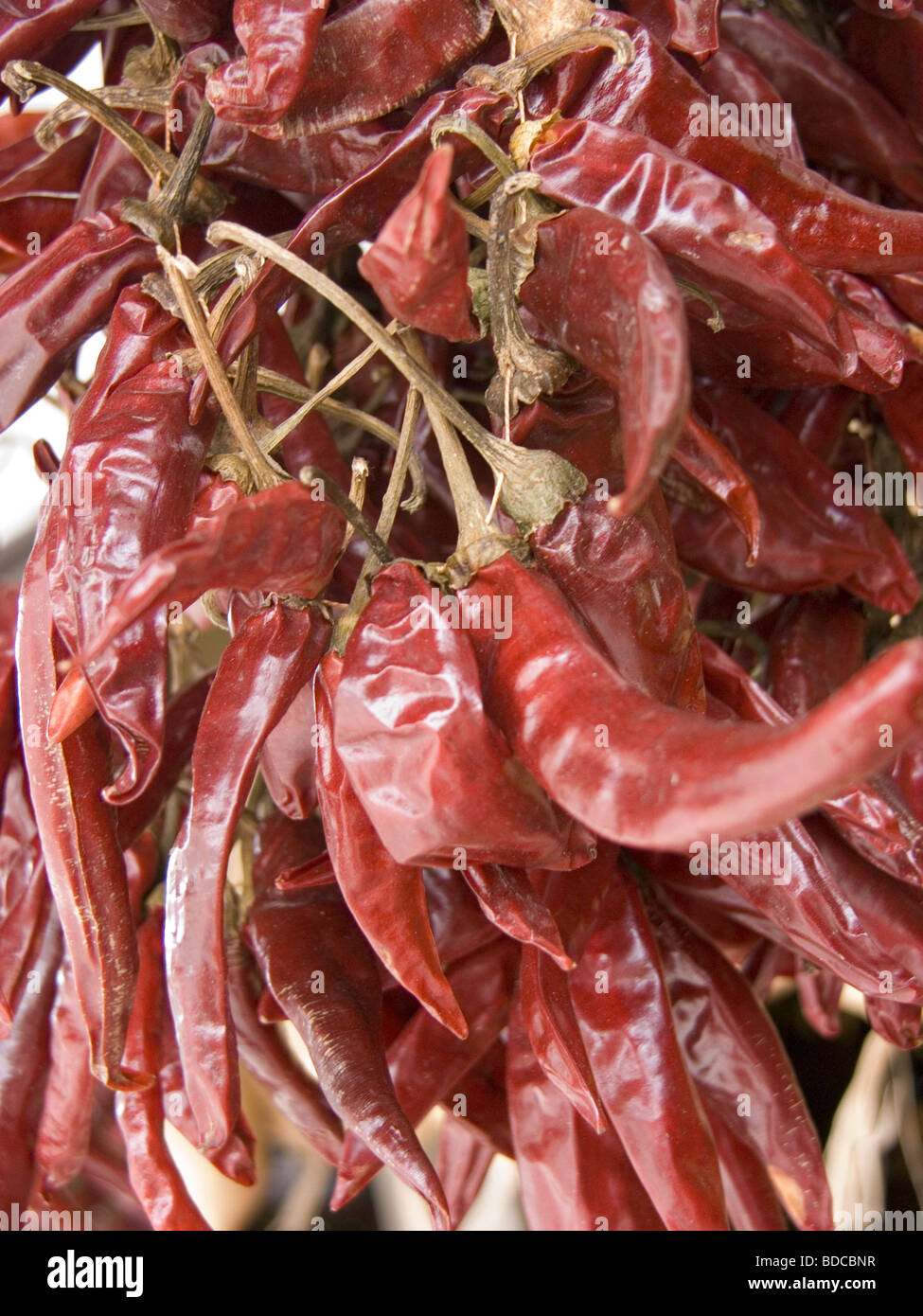 chili, pepper, vegetable, fruit, red peppers, pepperoni, dried peppers ...