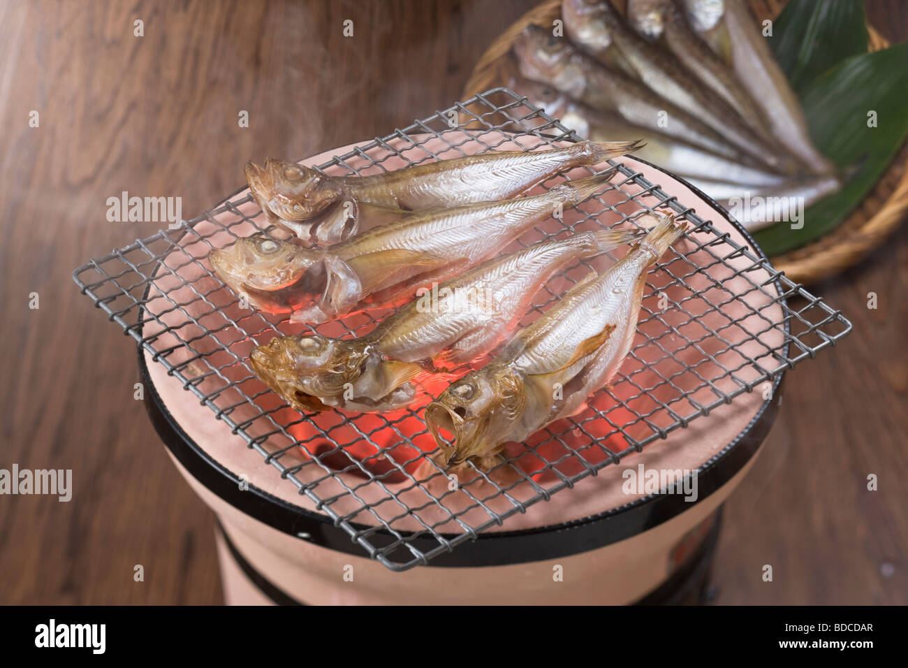 Sandfish hi-res stock photography and images - Alamy