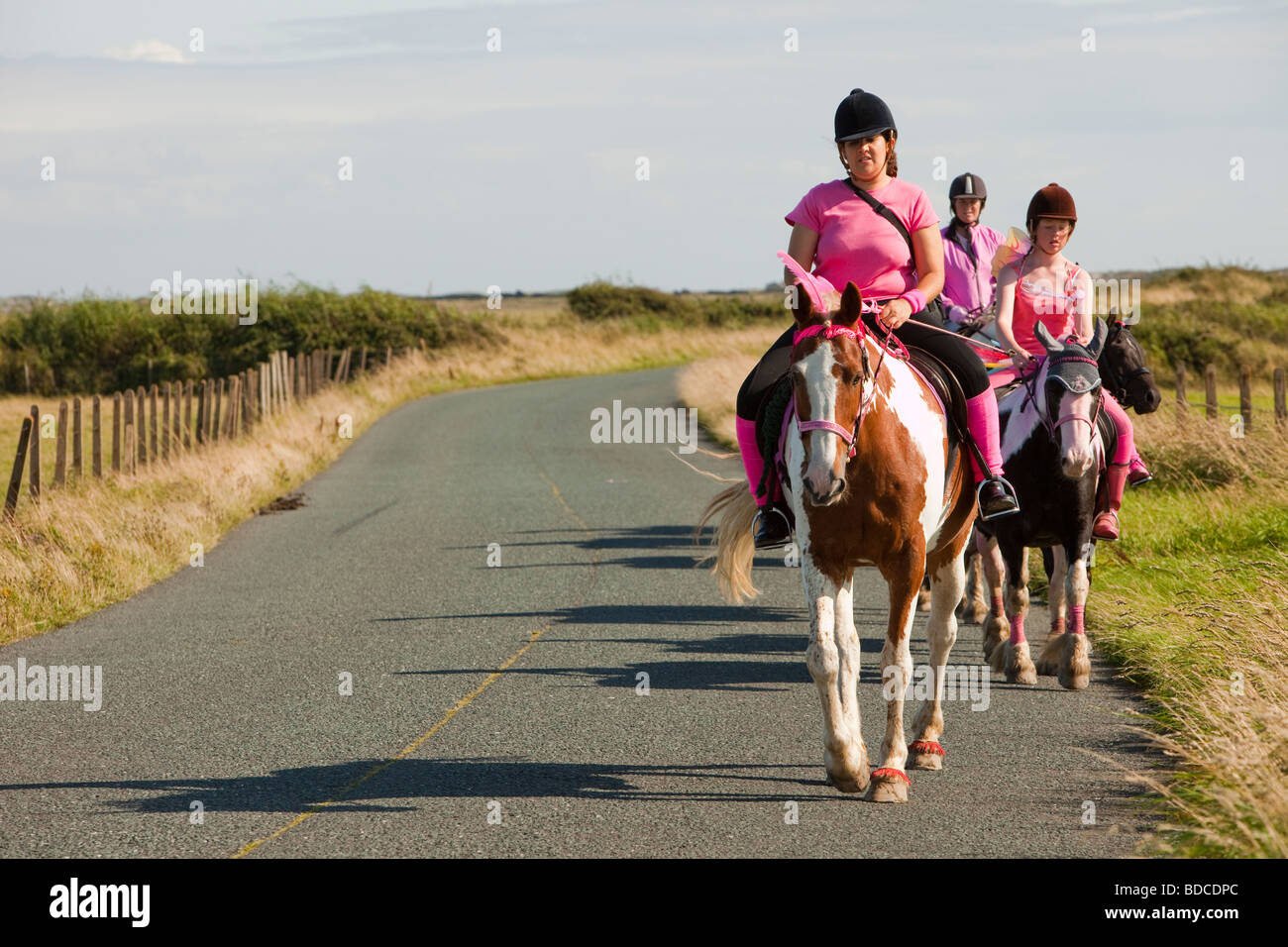 A horse riding school on Walney Island Barrow in Furness Cumbria UK ...