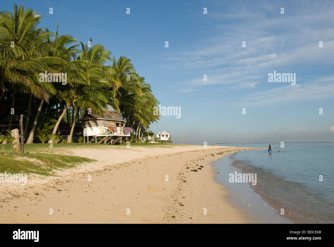 Coconut tree and fales on beach, Manase, Savai'i Island, Western Samoa ...