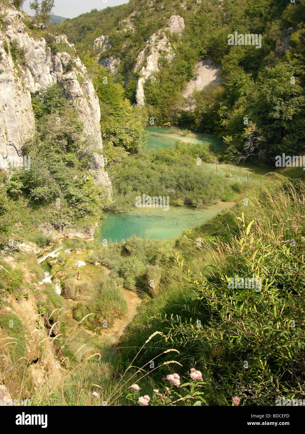 Plitvickie Lake, water, waterfall, lake, tree, trees, reeds, waterfalls ...