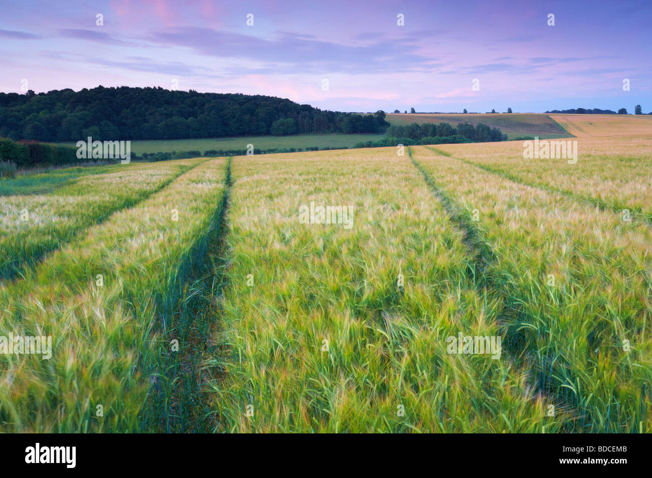 North Norfolk Countryside near Stiffkey Stock Photo - Alamy