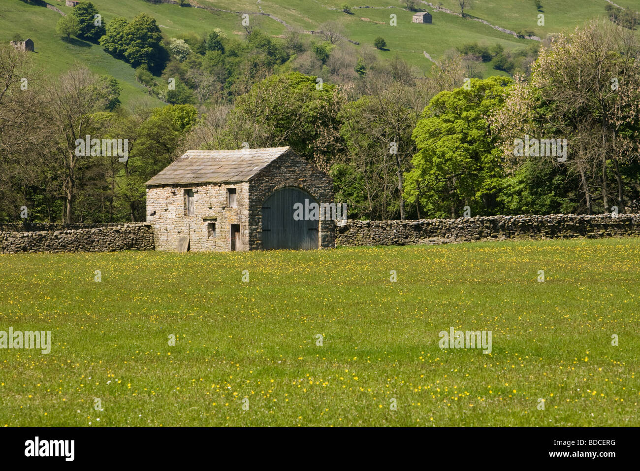 Field Barns Reeth Swaledale Yorkshire Dales England Stock Photo - Alamy