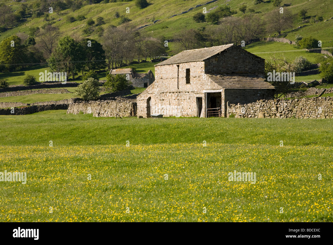 Field Barns Reeth Swaledale Yorkshire Dales England Stock Photo - Alamy