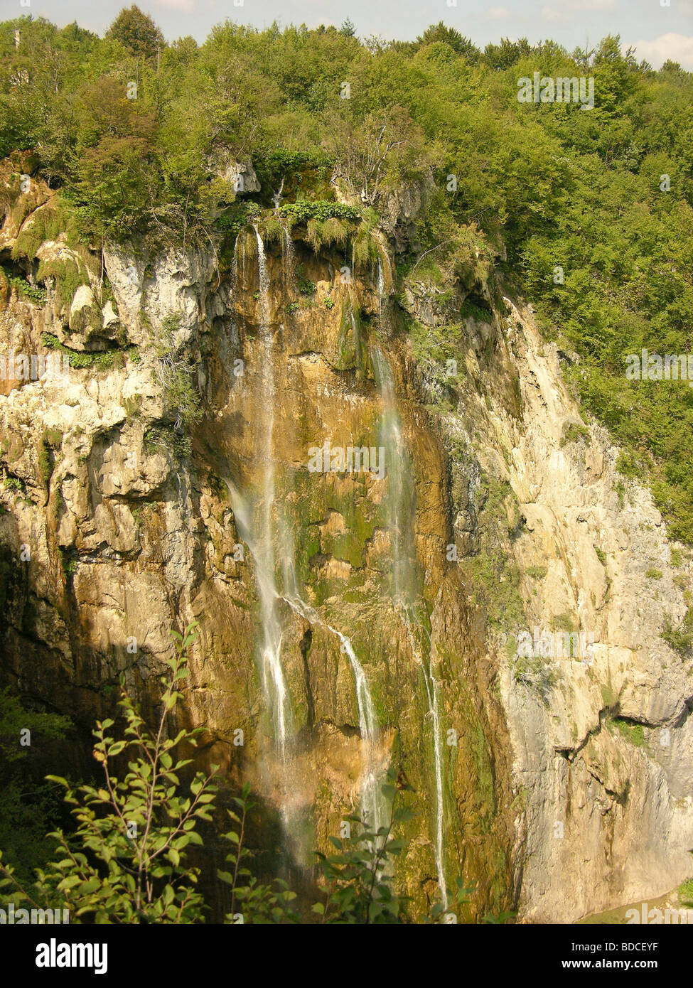 Plitvickie Lake, water, waterfall, lake, tree, trees, reeds, waterfalls ...