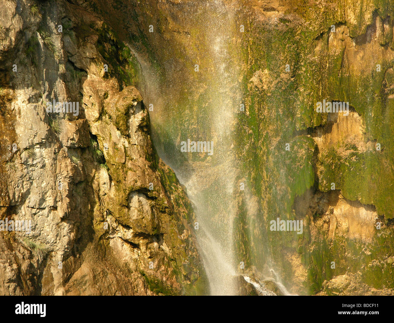 Plitvickie Lake, water, waterfall, lake, tree, trees, reeds, waterfalls ...