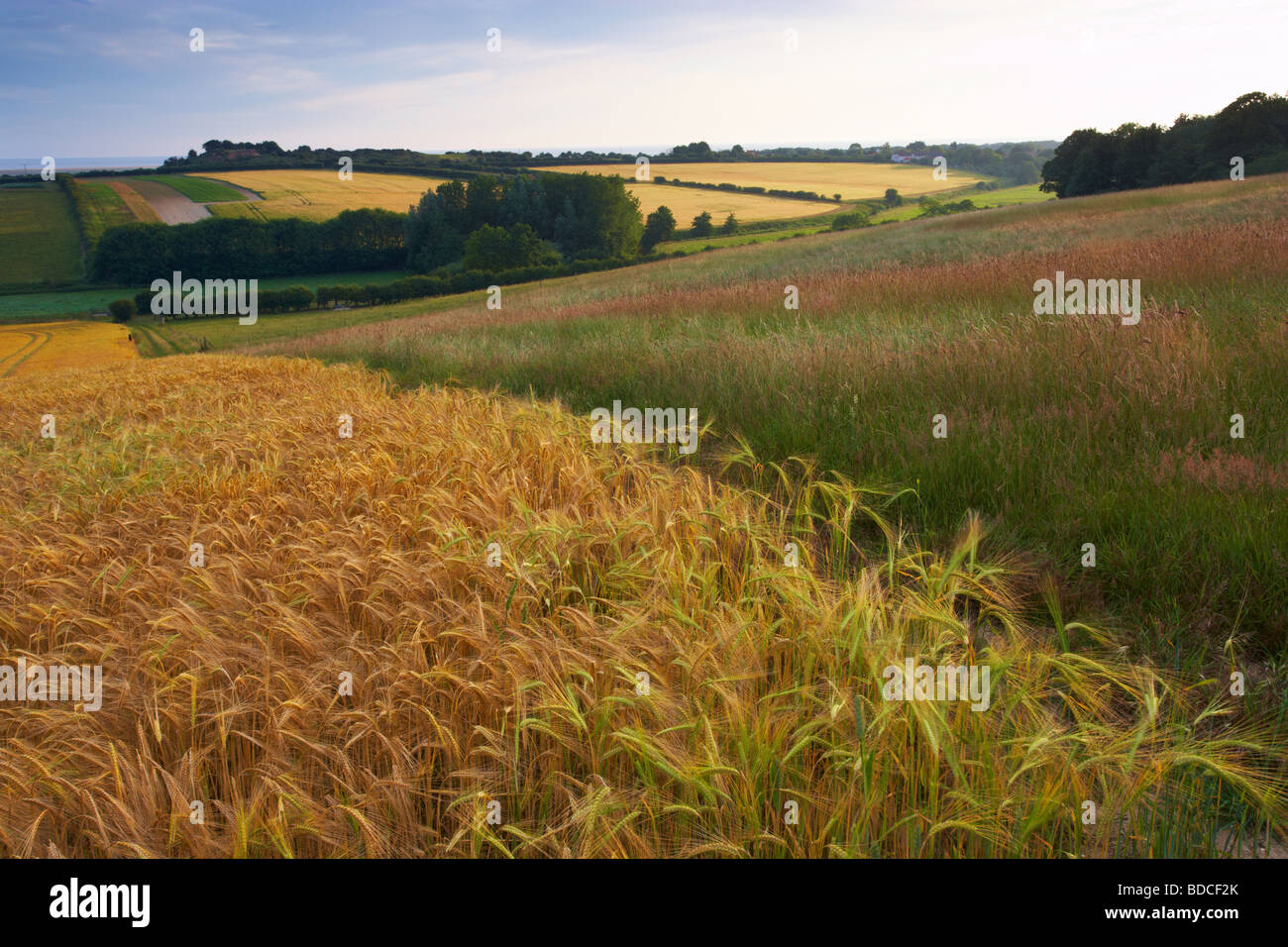 Stiffkey village hi-res stock photography and images - Alamy