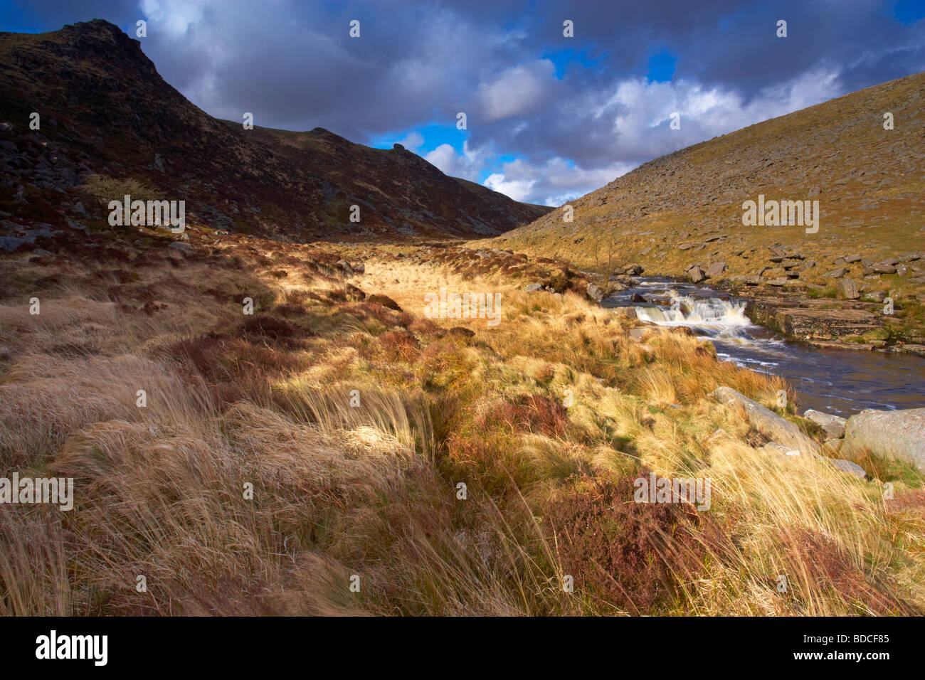 A view of Tavy Cleave in Dartmoor, Devon Stock Photo - Alamy