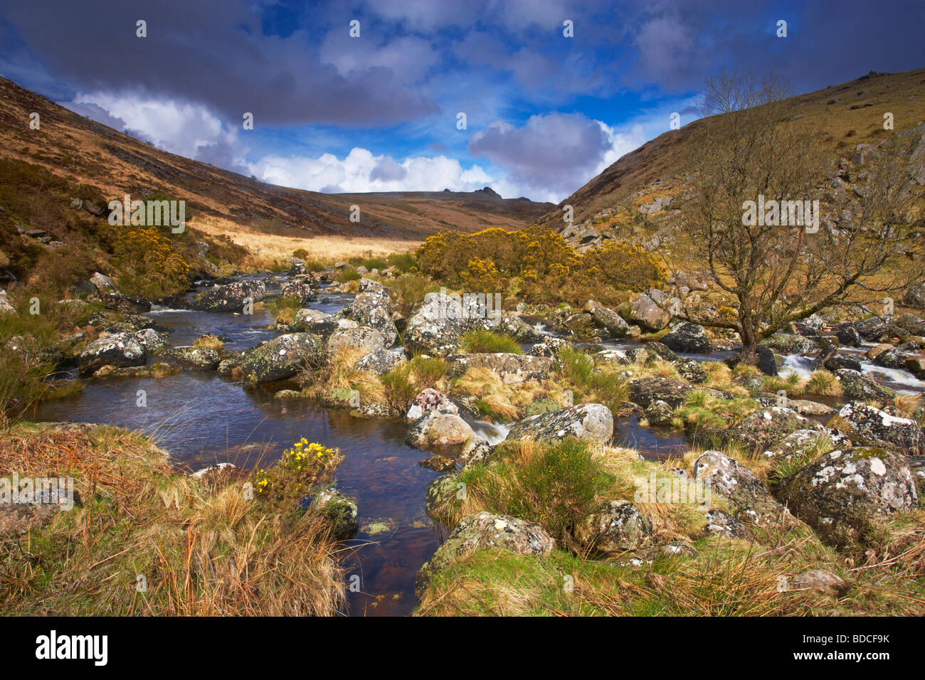 A view of Tavy Cleave in Dartmoor, Devon Stock Photo - Alamy