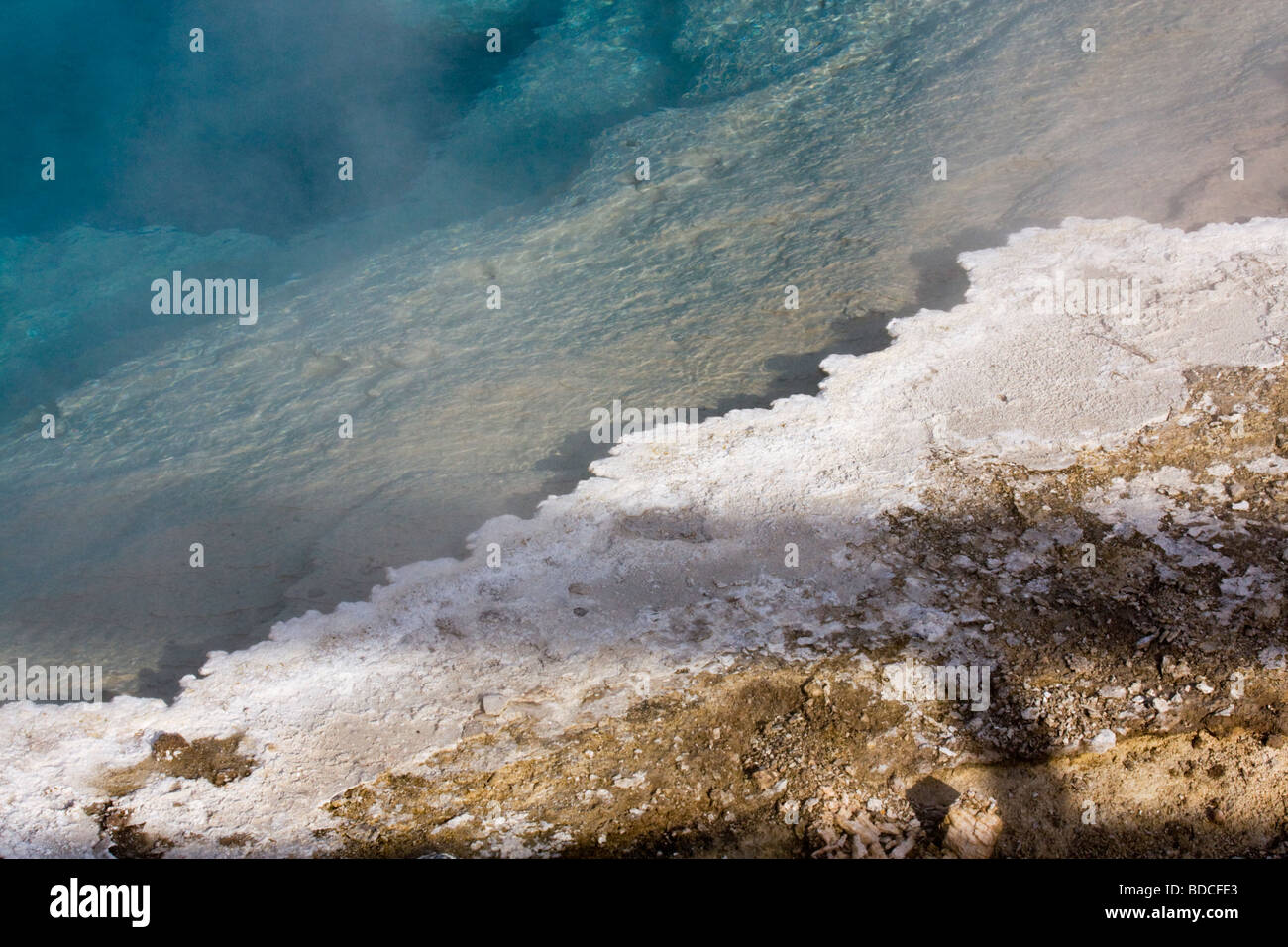 Thermophile hi-res stock photography and images - Alamy