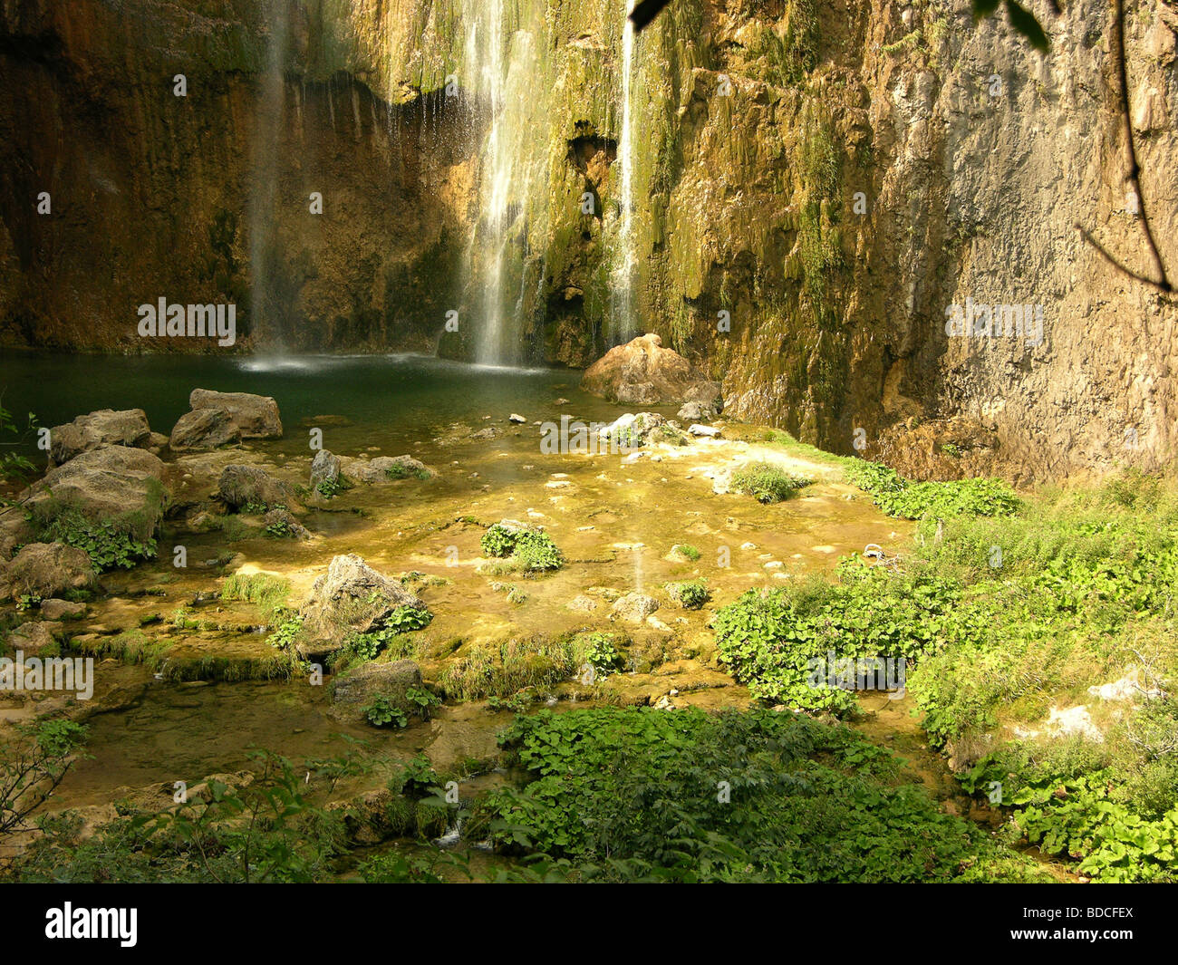 Plitvickie Lake, water, waterfall, lake, tree, trees, reeds, waterfalls ...
