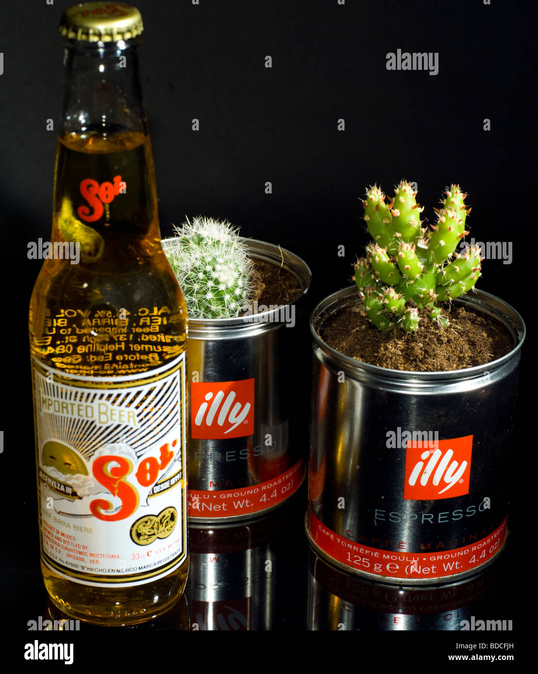 Tin black plantpot hi-res stock photography and images - Alamy