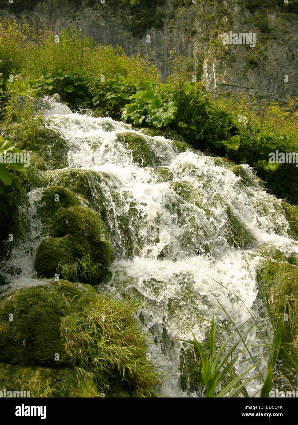 Plitvickie Lake, water, waterfall, lake, tree, trees, reeds, waterfalls ...