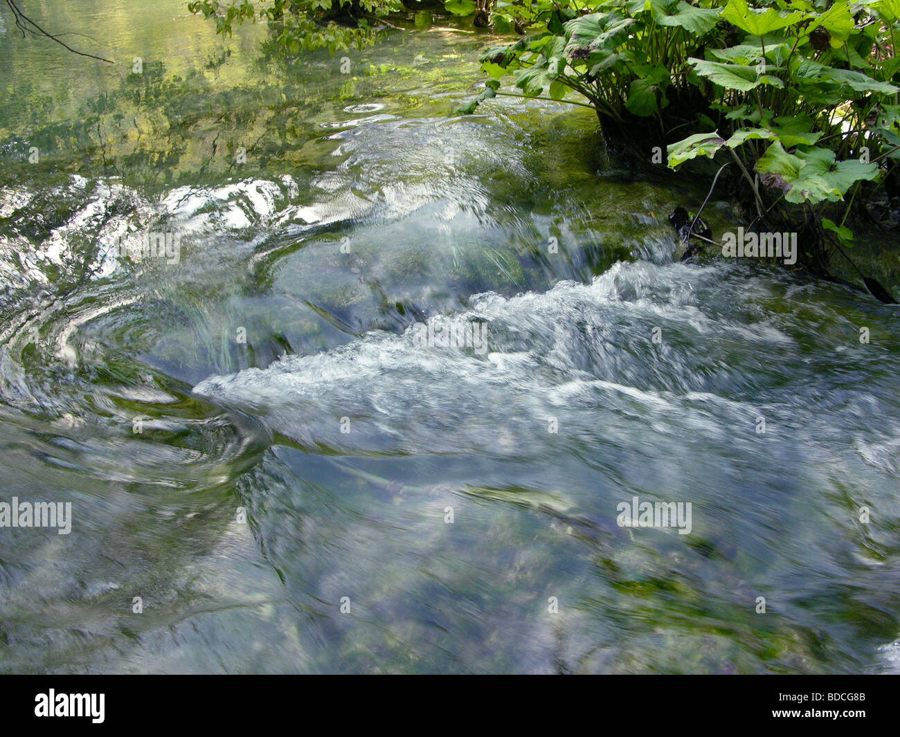 Plitvickie Lake, water, waterfall, lake, tree, trees, reeds, waterfalls ...