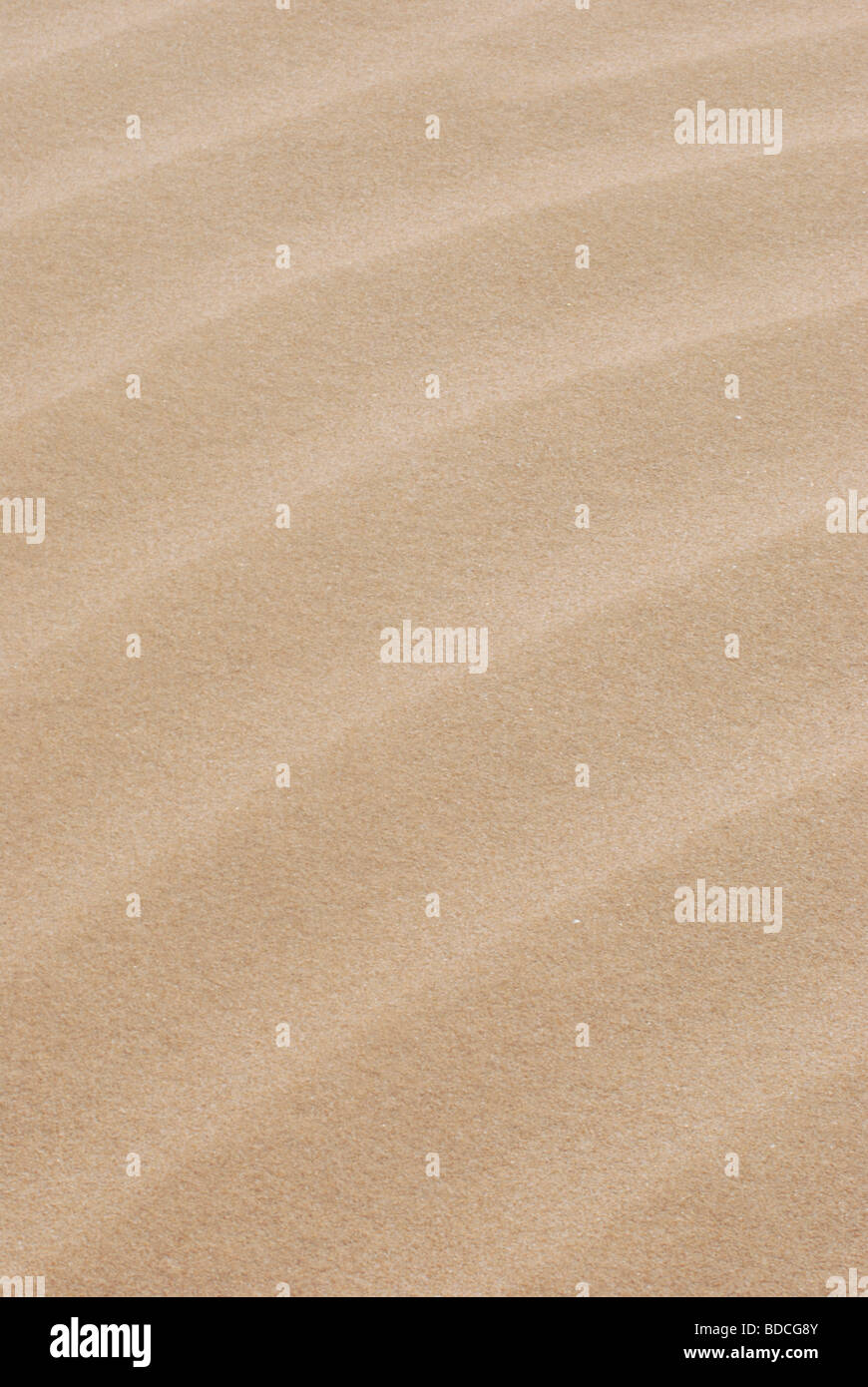 Sand ripples on a moroccan sand dune doastline Stock Photo - Alamy