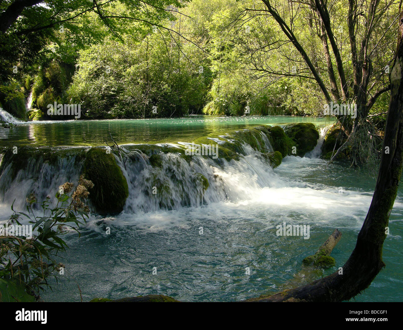 Plitvickie Lake, water, waterfall, lake, tree, trees, reeds, waterfalls ...