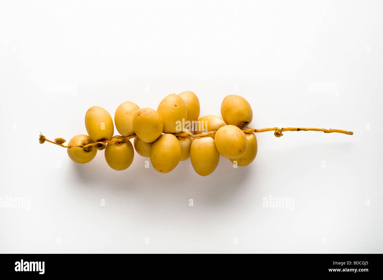 A bunch of yellow, raw dates on white background Stock Photo - Alamy