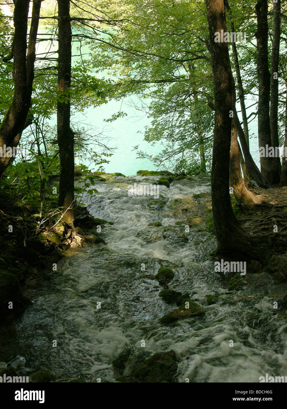 Plitvickie Lake water, waterfall, lake, tree, trees, reeds, waterfalls ...