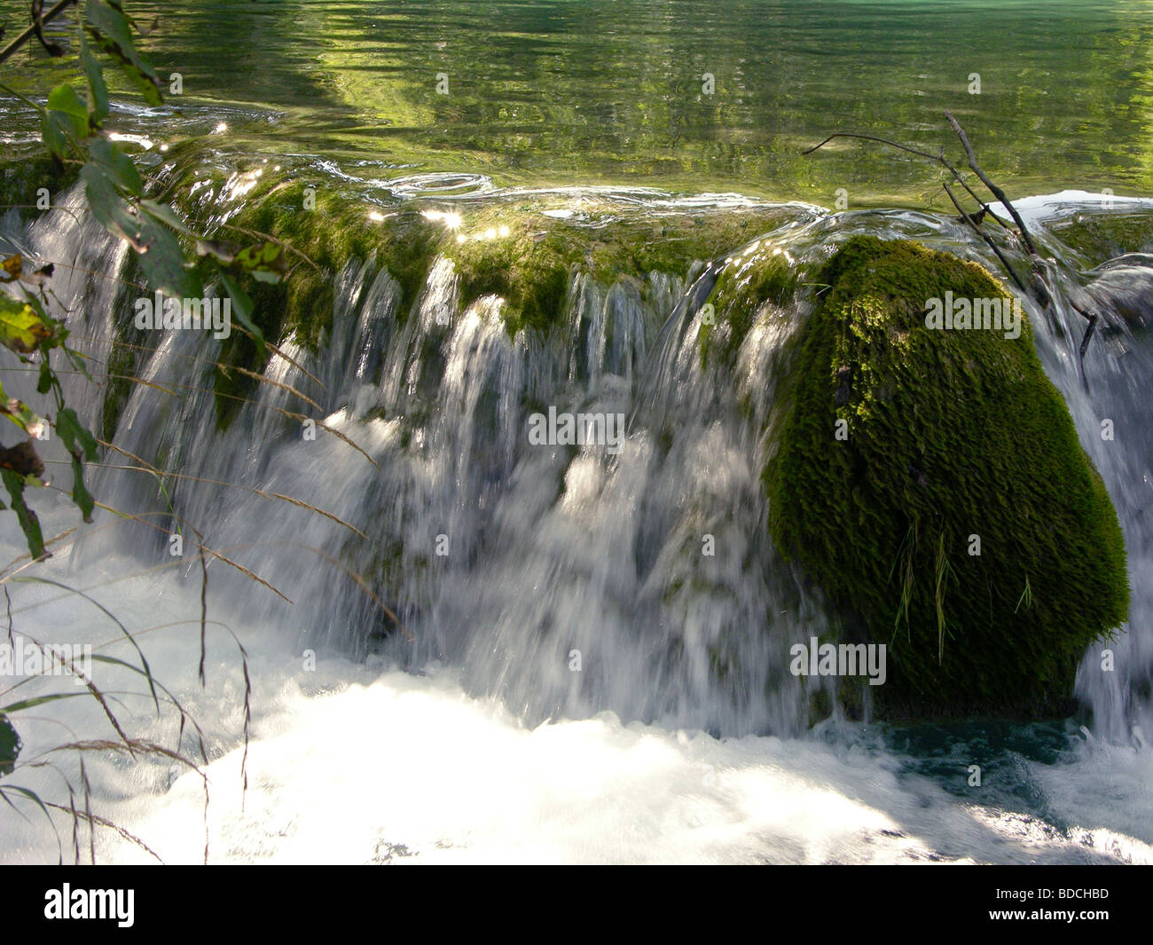 Plitvickie Lake water, waterfall, lake, tree, trees, reeds, waterfalls ...
