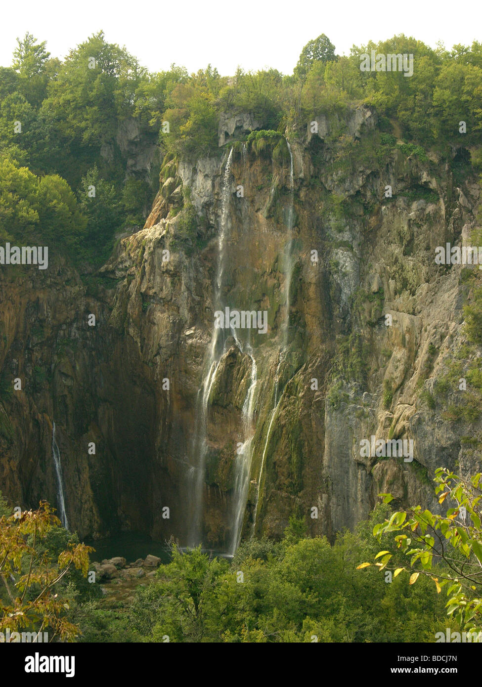 Plitvickie Lake water, waterfall, lake, tree, trees, reeds, waterfalls ...