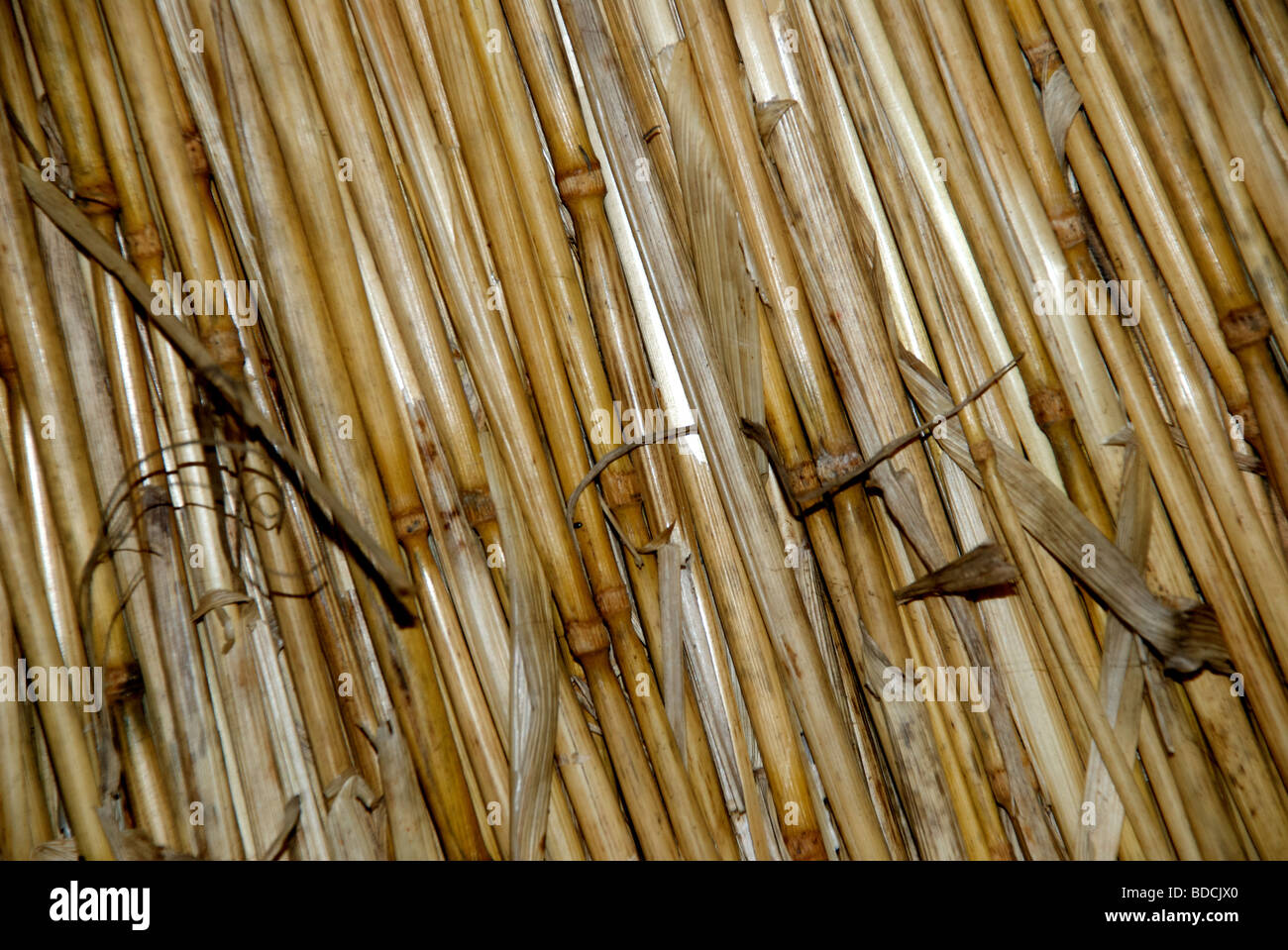 Straw roof texture building hi-res stock photography and images - Alamy